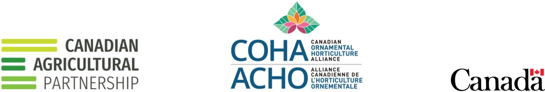 COHA Research – COHA-ACHO Connections