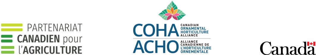 COHA Research [FR] – COHA-ACHO Connections
