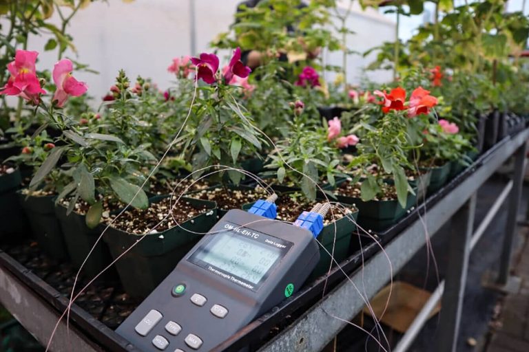 Understanding how temperatures within plants affect their growth – COHA ...