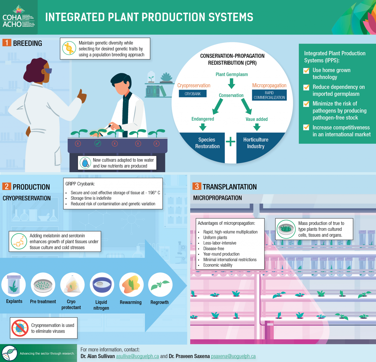 Cluster 3 – Research Project Infographics – COHA-ACHO Connections